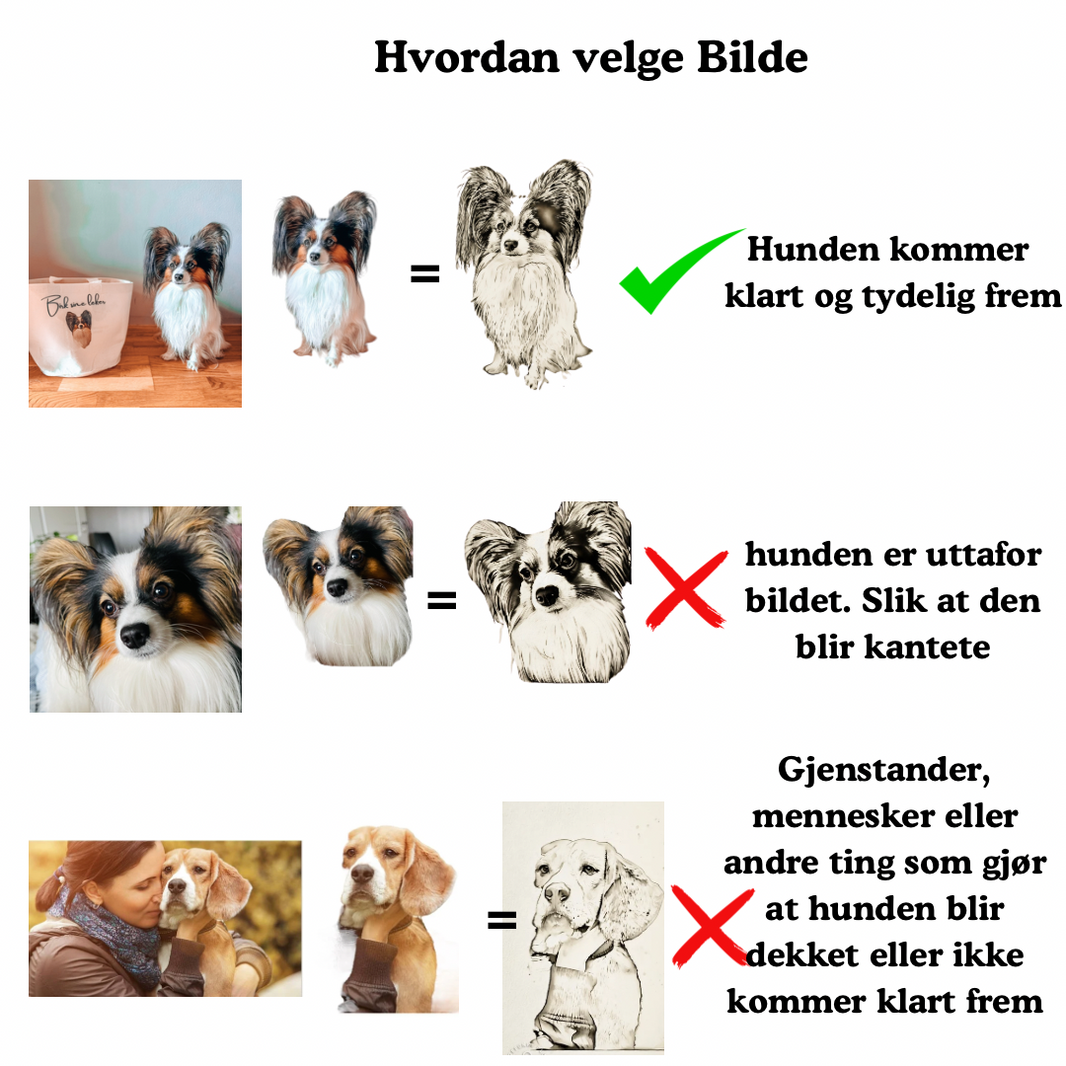 Kjæledyr – Geli van Gemert